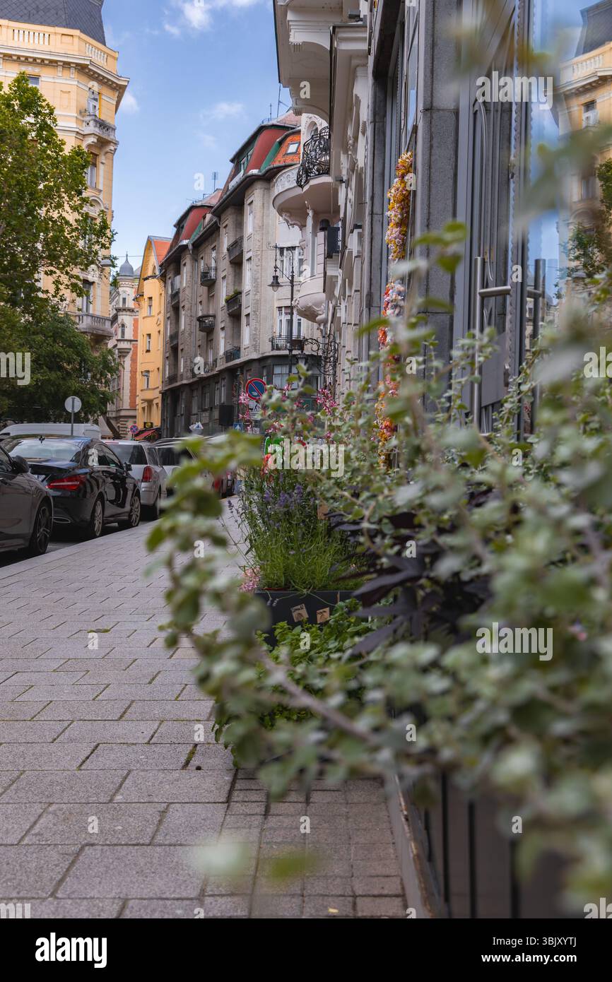 Charming Urban Street with Historic Buildings and Yellow Focal Point ...