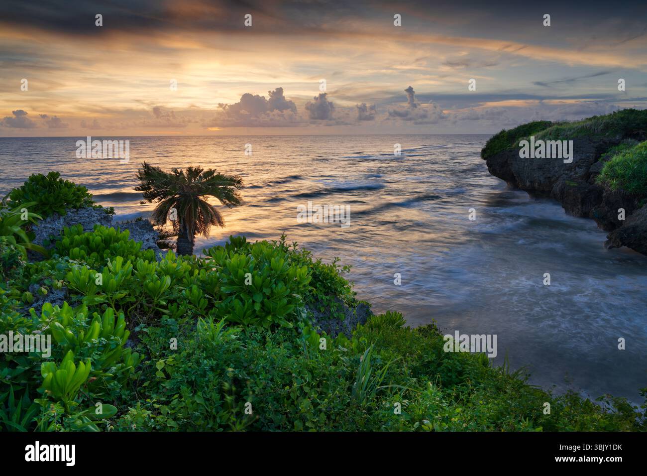 Natural environment japan hi-res stock photography and images - Alamy