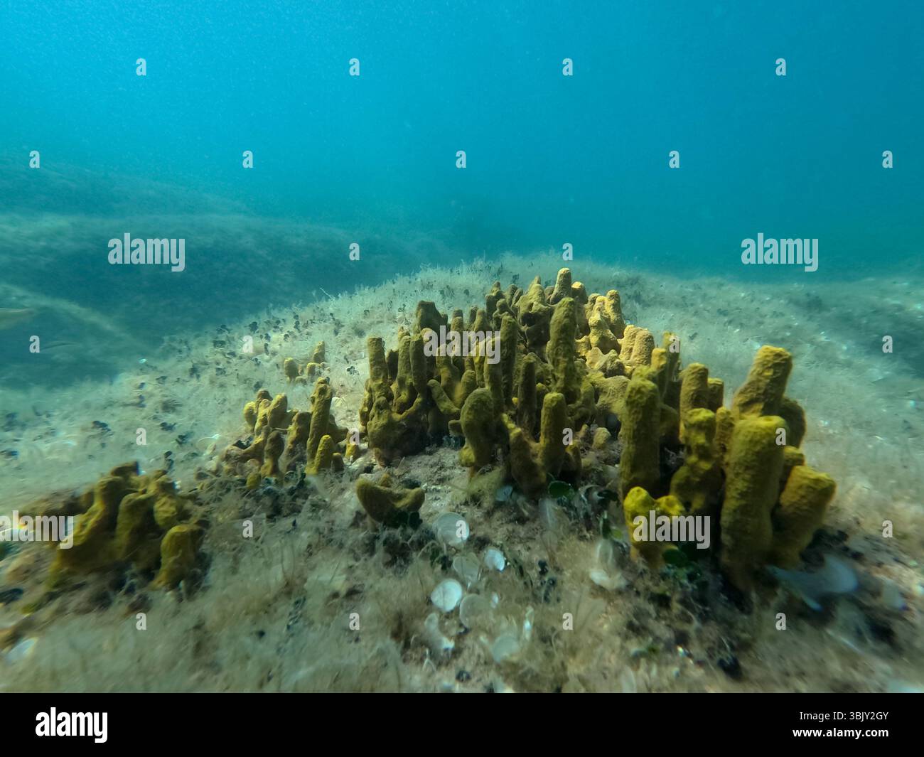 Marine filters hi-res stock photography and images - Alamy