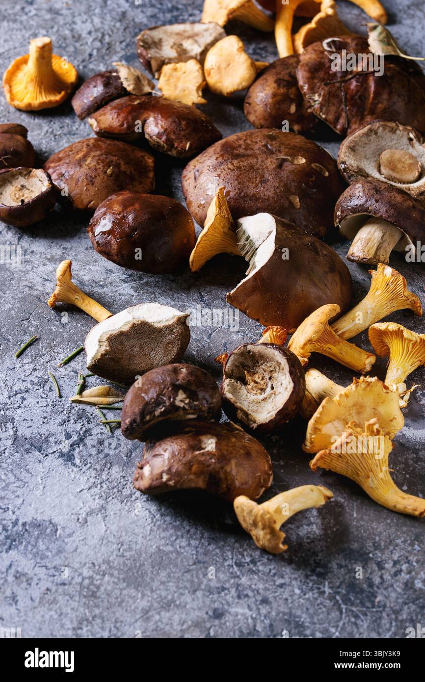 Mushrooms porcini chanterelles in hi-res stock photography and images ...