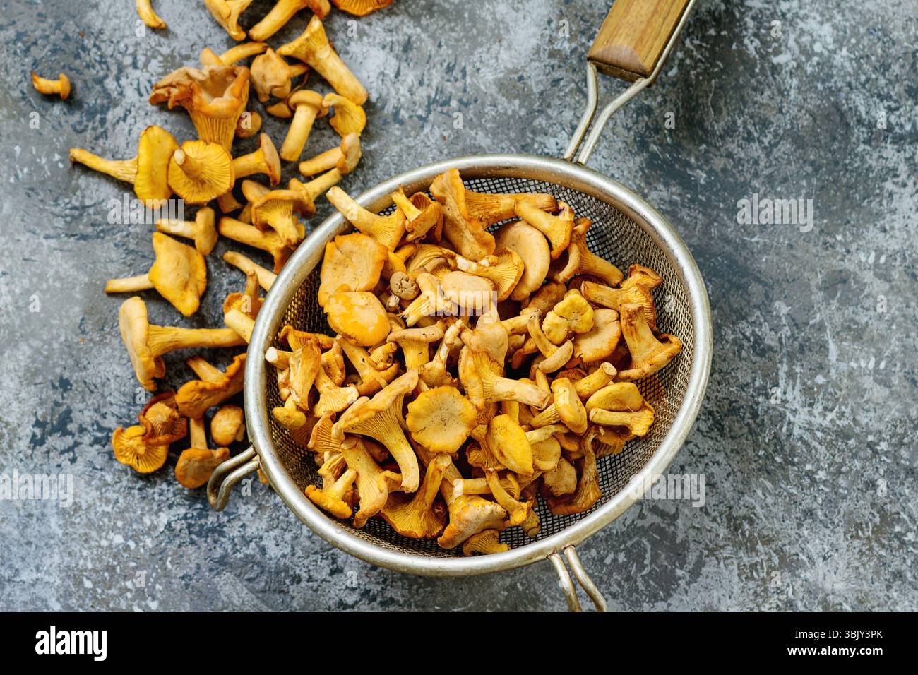 Top view gray mushrooms hi-res stock photography and images - Alamy