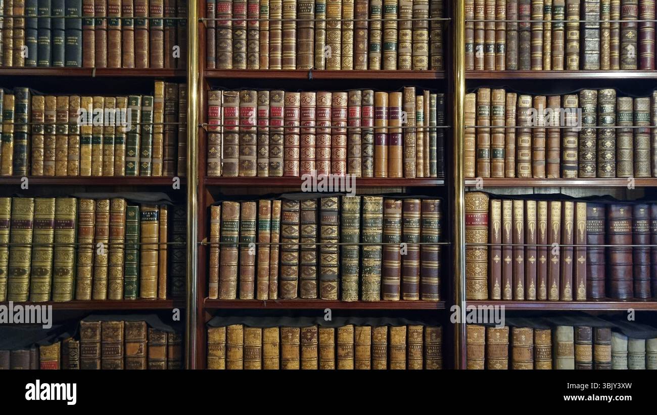 Rows and rows of old leather backed books in an old library Stock Photo ...