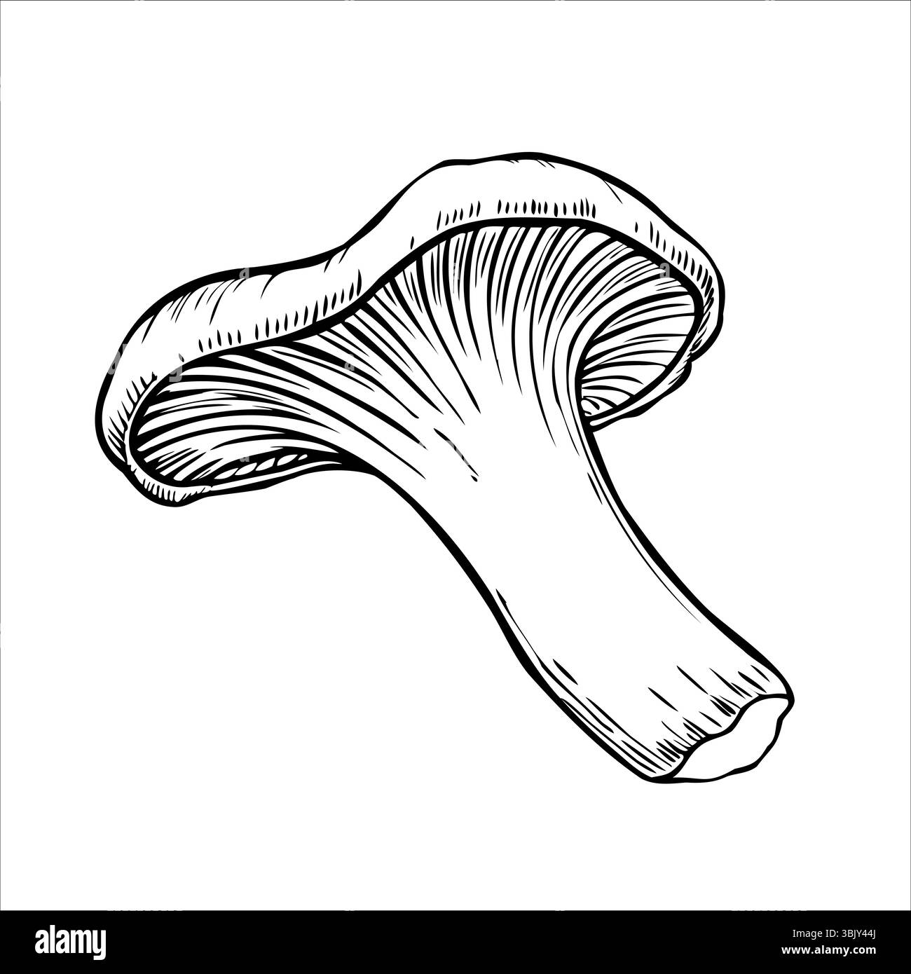 Smooth mushroom cap Stock Vector Images - Alamy