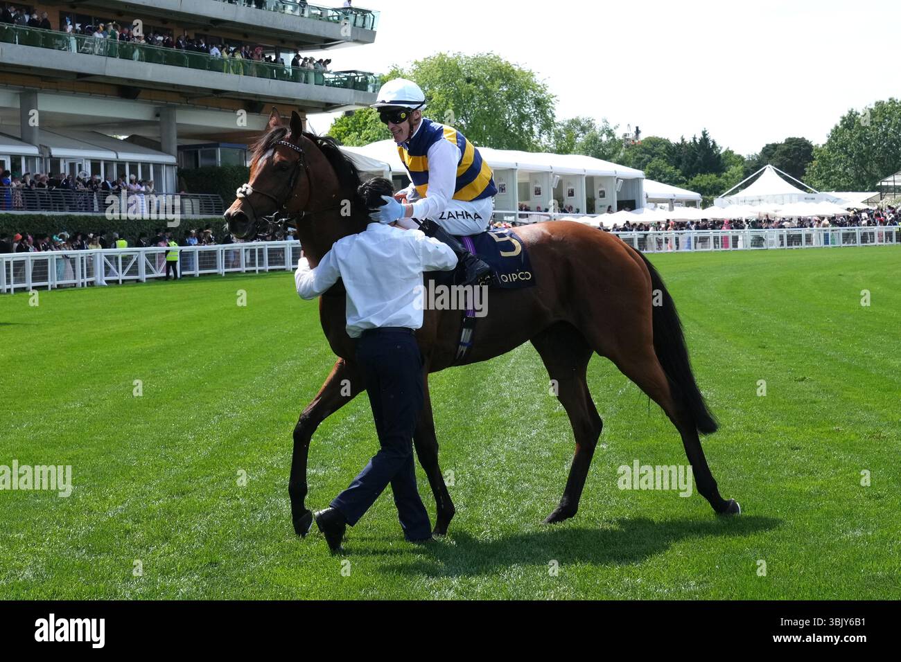 Jockey Mark Zahra celebrates after winning the Queen Anne Stakes with ...