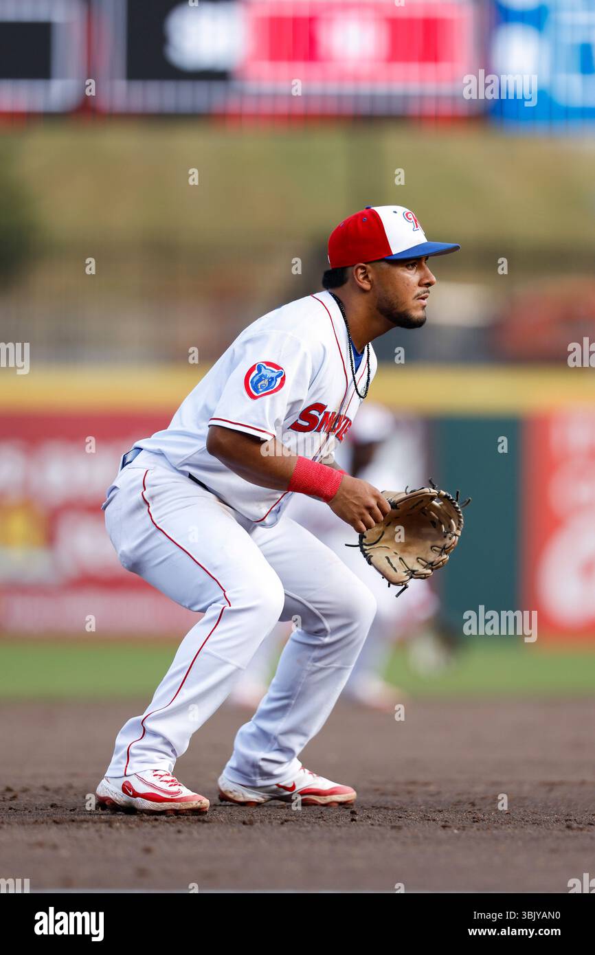 Knoxville Smokies third baseman Pedro Ramirez (2) on defense against ...
