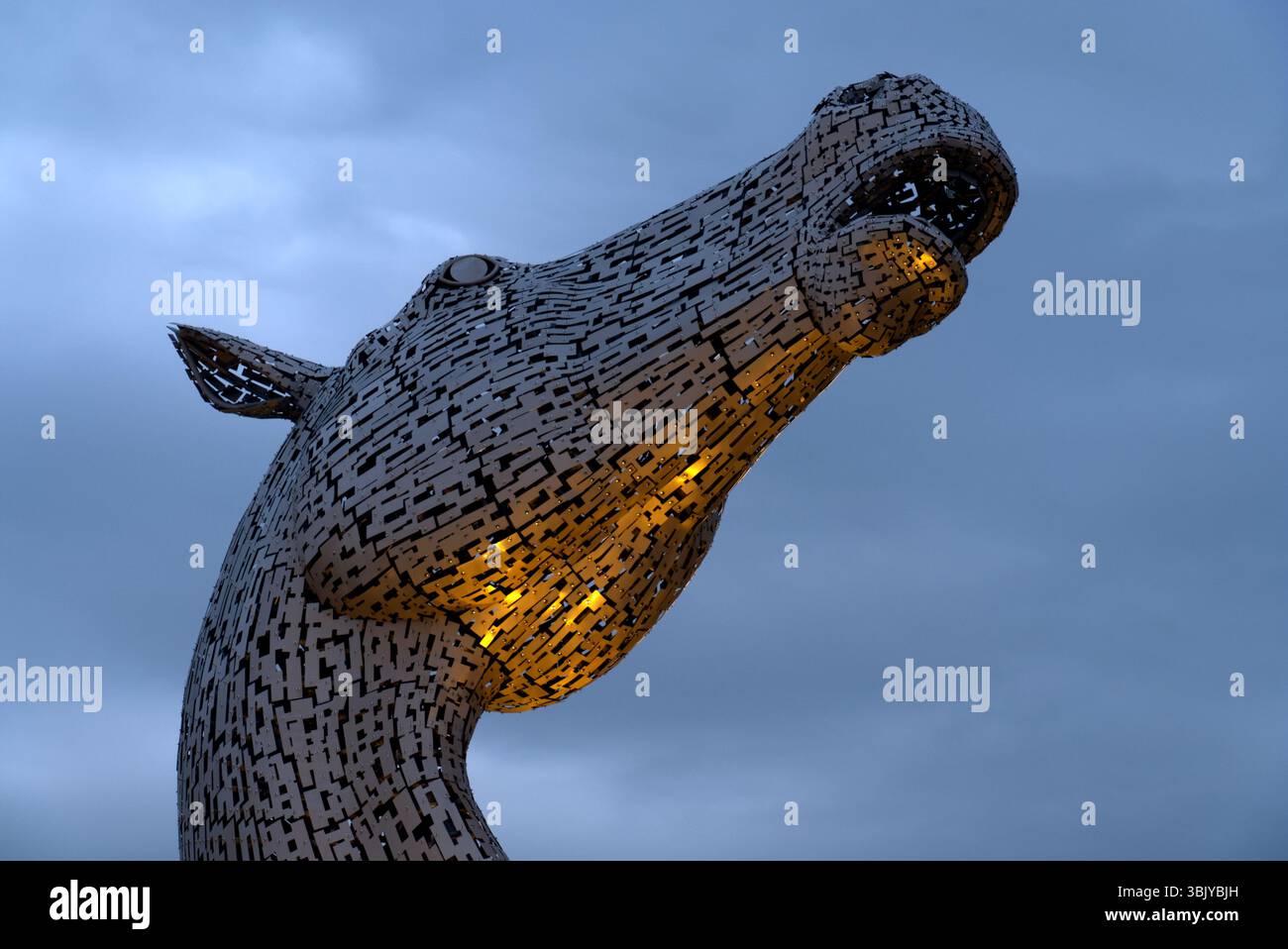 The Rearing Head of a Kelpie shot from below for dramatic effect: The ...