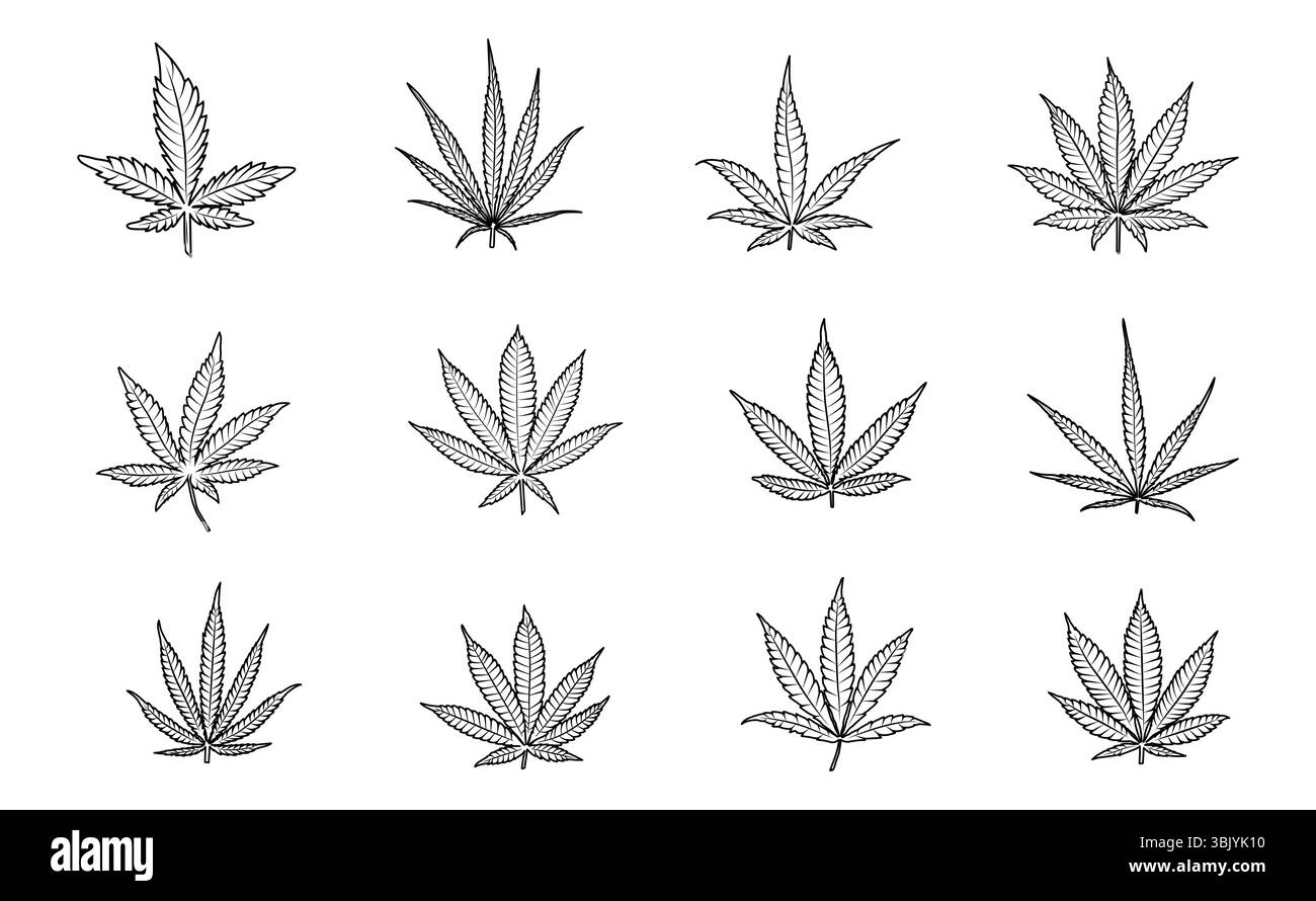 Weed leaves vector Stock Vector Image & Art - Alamy