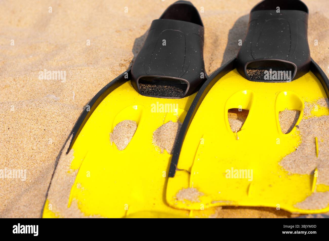 Flippers in the sand on the beach Stock Photo - Alamy