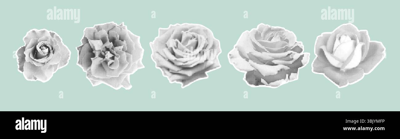Set of stylized halftone roses in black and white Stock Vector Image ...
