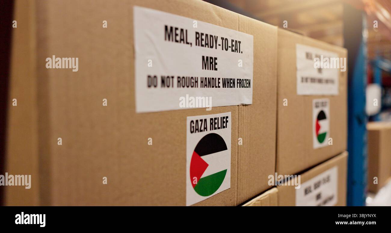 Export, Palestine and charity with box in warehouse for logistics, food ...