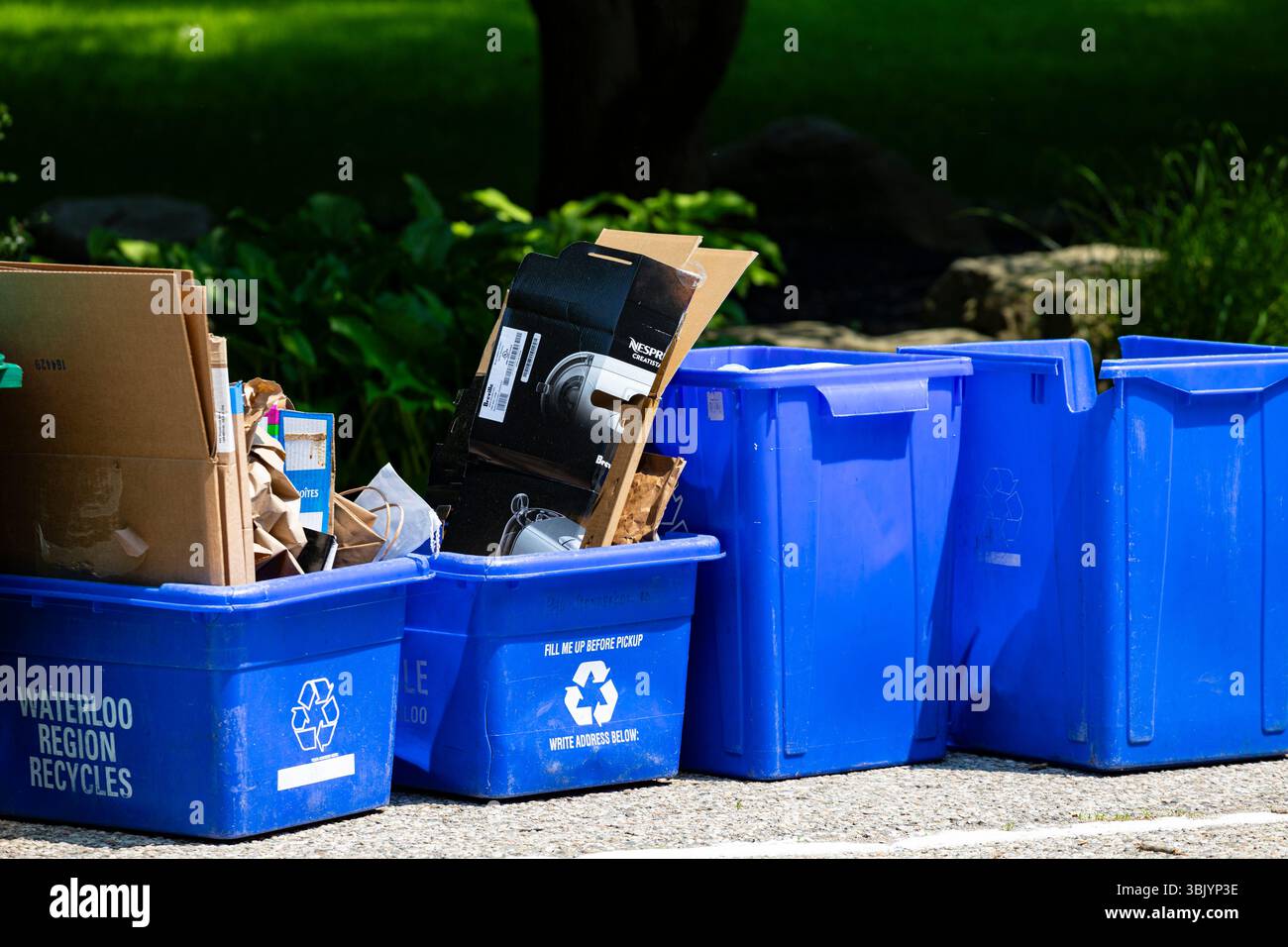 Blue Box recycling bin, green box for organic waste at curbside. Region ...