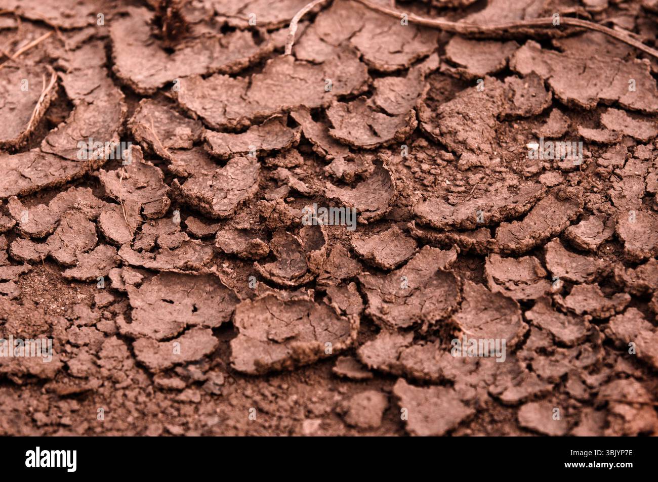 Before global warming hi-res stock photography and images - Alamy