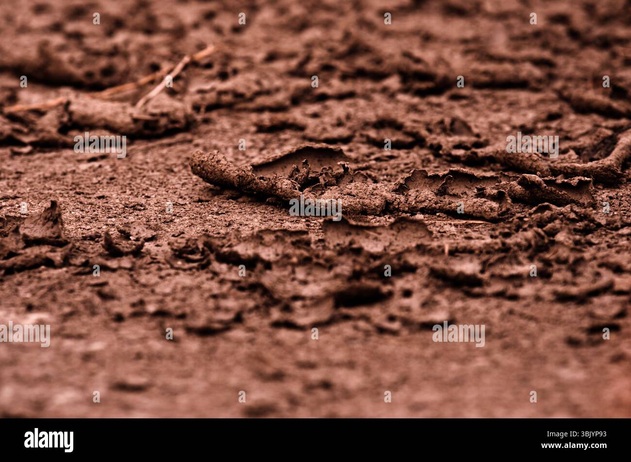 Before global warming hi-res stock photography and images - Alamy