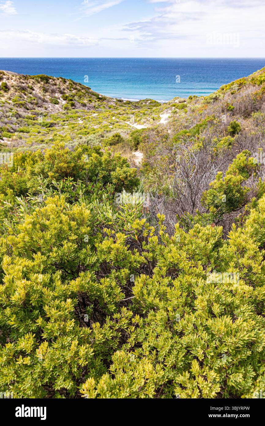 Shelly Beach by the Southern Ocean viewed from the hill above from the ...