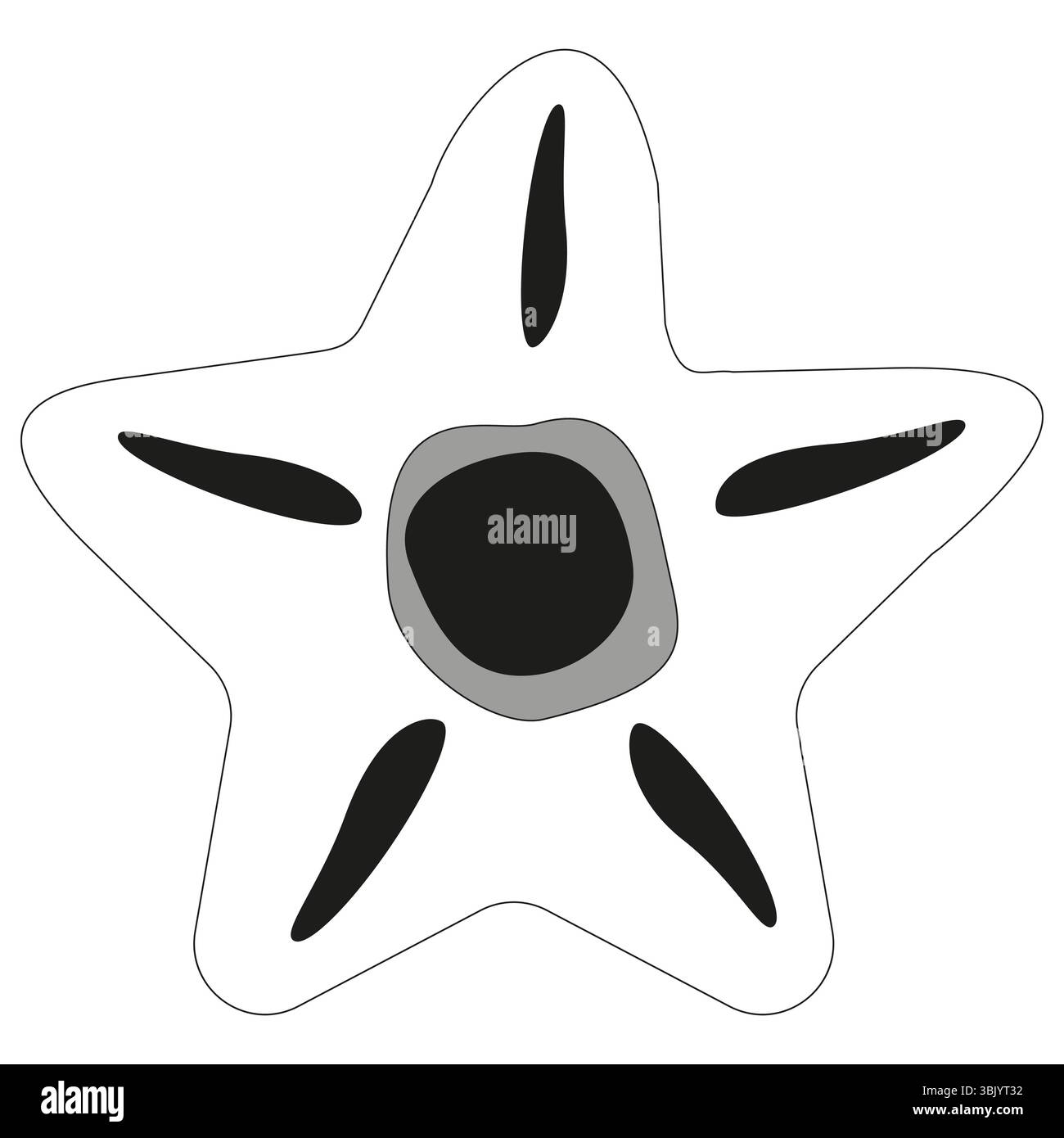Starfish vector icon. Ocean animal shape. Black white drawing ...