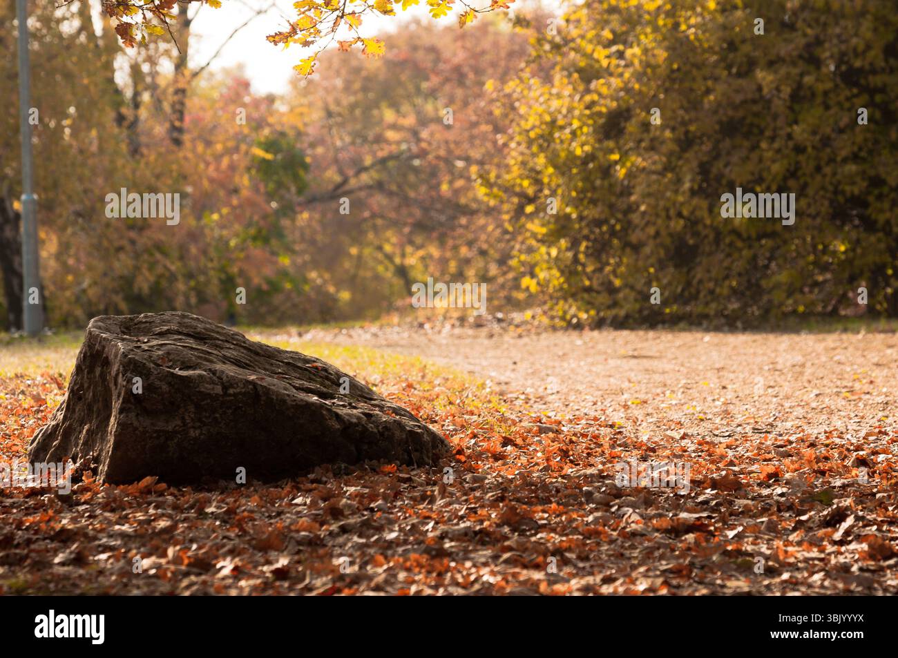 Peaceful park scene in hi-res stock photography and images - Alamy