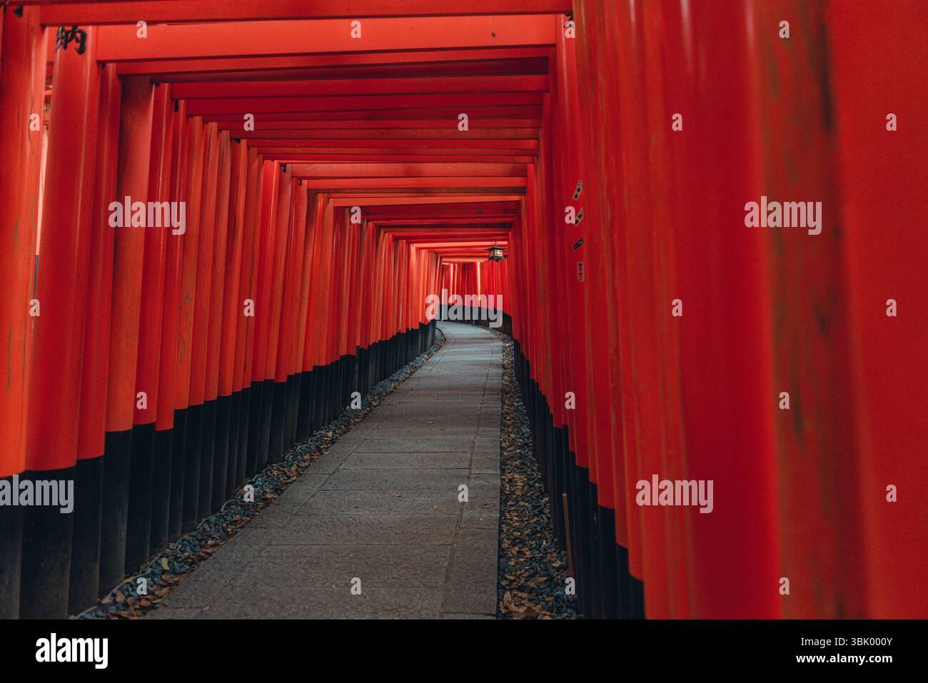 Fushimi inari taisha red torii gates kyoto japan hi-res stock ...