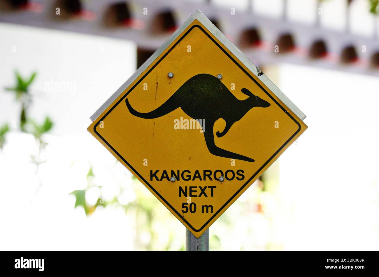 Close up iconic australian hi-res stock photography and images - Alamy