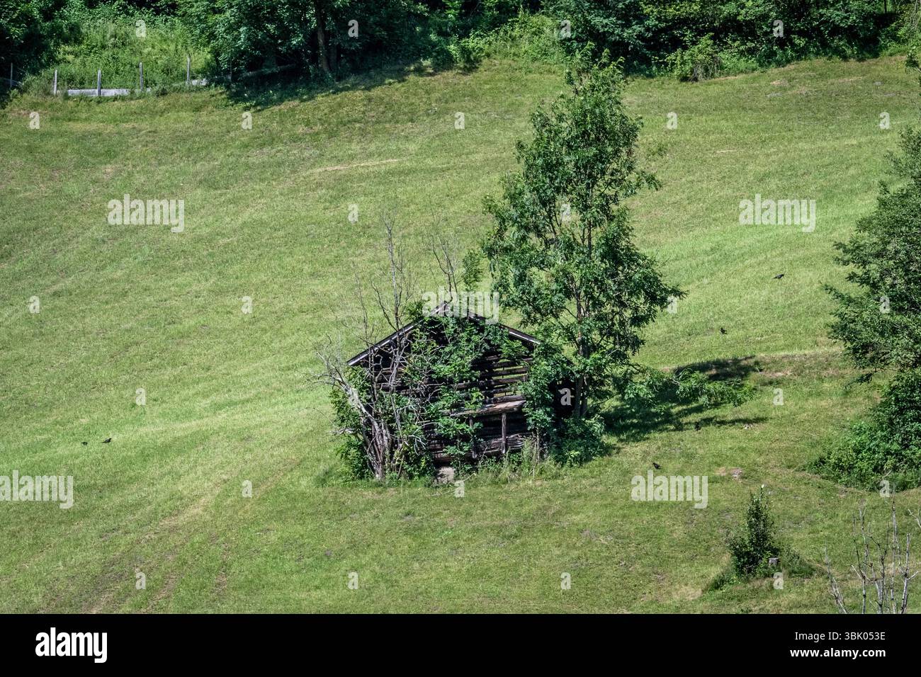 Old hay barn in the Austrian Alps Bad Hofgastein Berg Salzburg Austria ...