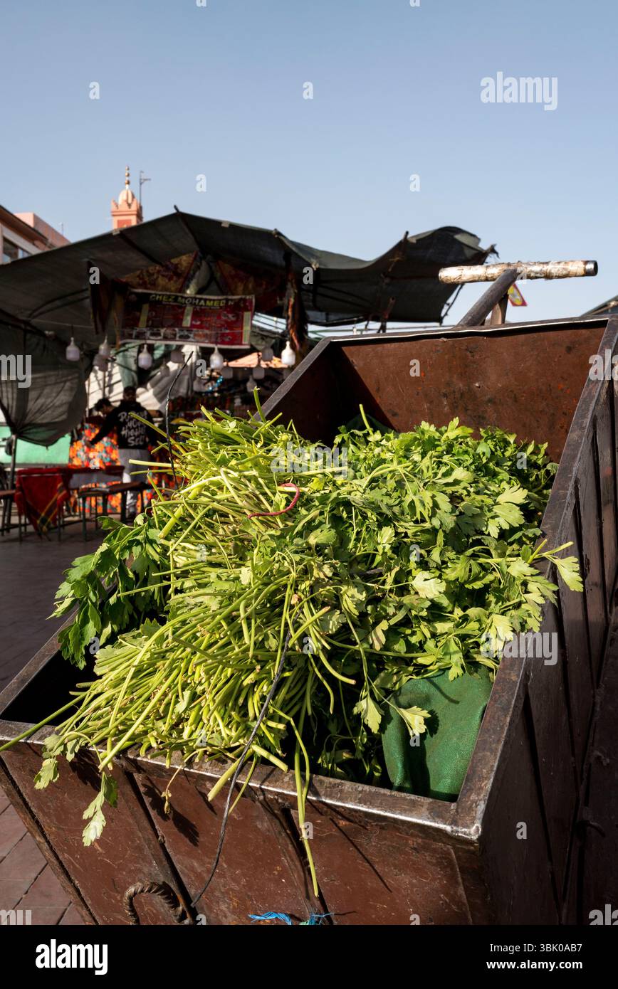Restaurant stalls set up on Place Jemaa El Fna in Marrakech. Marrakech ...