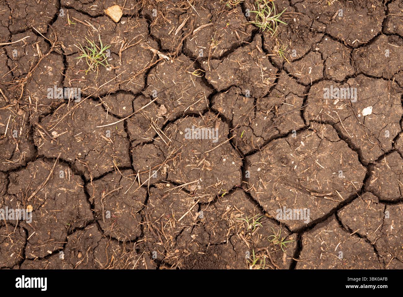 Clay soil texture hi-res stock photography and images - Alamy