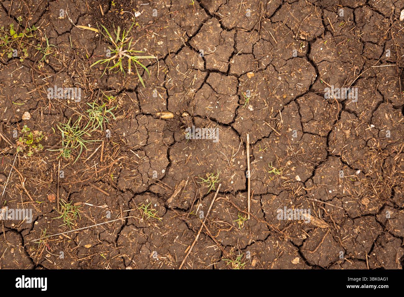 Nature closeup soil hi-res stock photography and images - Alamy