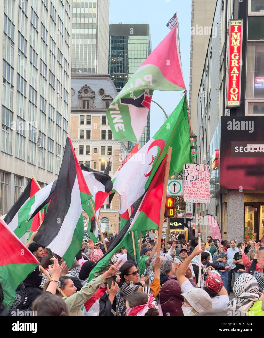 Montreal, Canada - June 13, 2025: Protesters hold Palestinian flags and ...