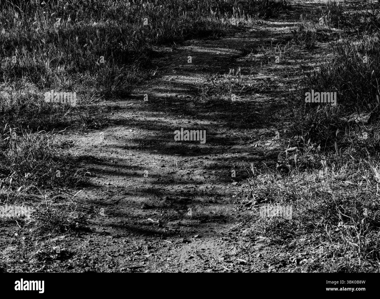 Sunset Shadows on Dirt Road with Grass – Neighborhood Alley Scene Stock ...