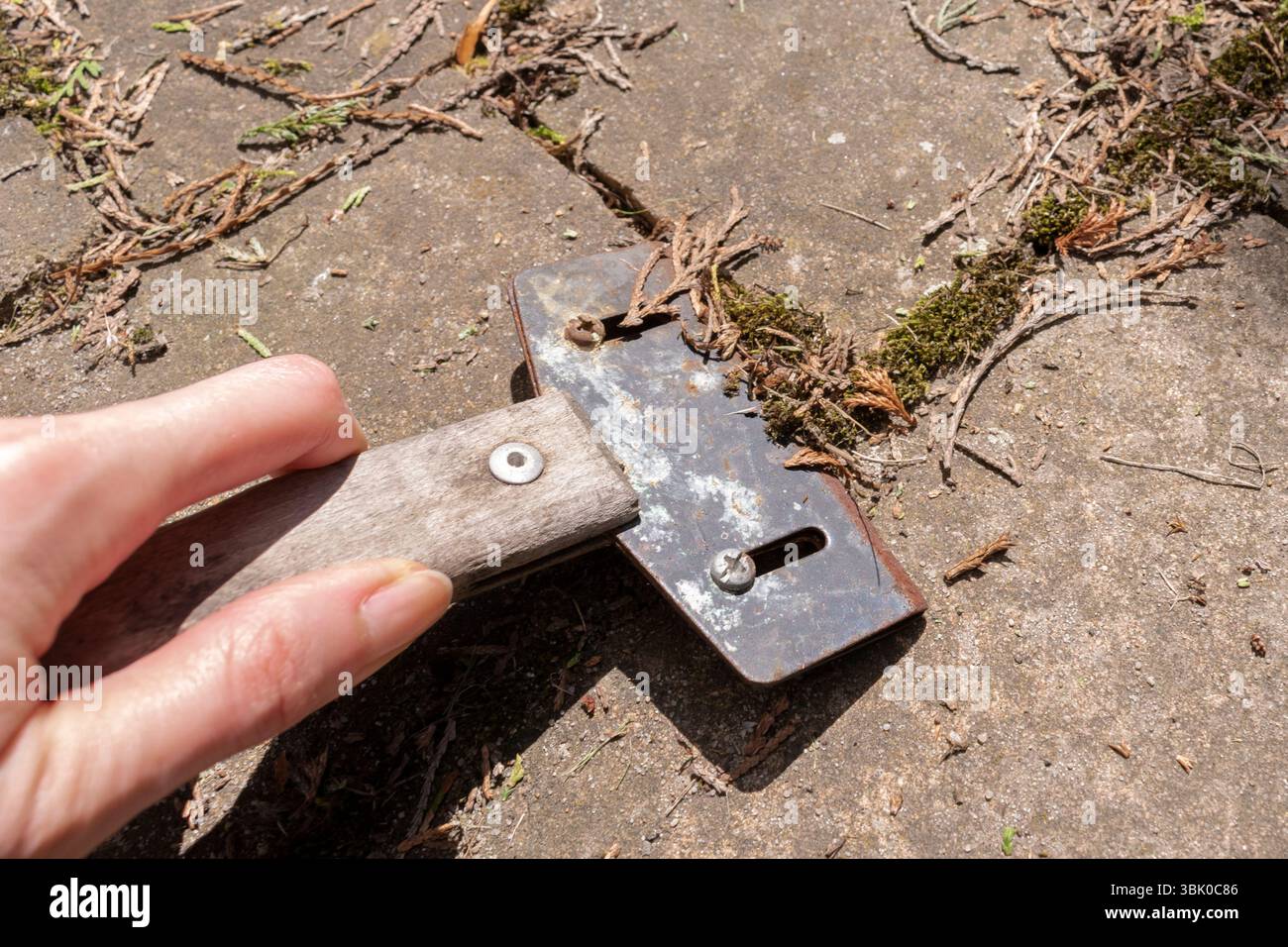 Manual patio cleaning with scraper tool; pavement cleaning and moss ...