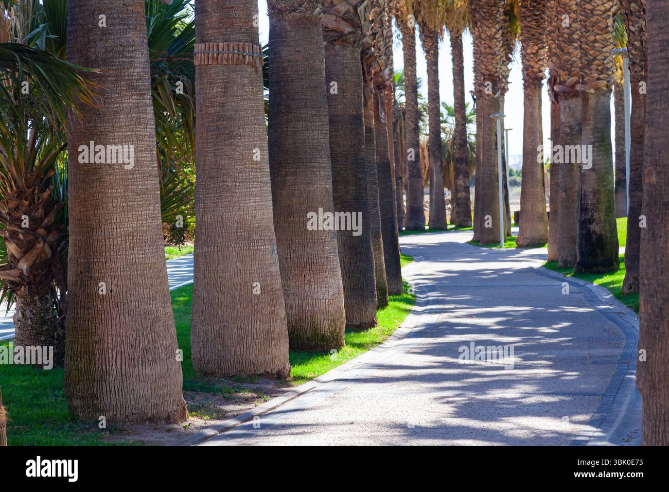 Along path alley hi-res stock photography and images - Alamy