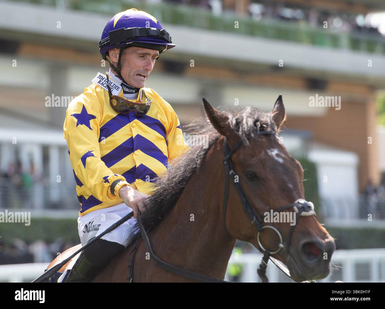 Ascot, Berkshire, UK. 17th June, 2025. Horse AMERICAN AFFAIR ridden by ...