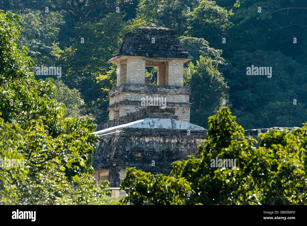 Palenque: A major Mayan Archaeological Site, Chiapas, Mexico Stock ...