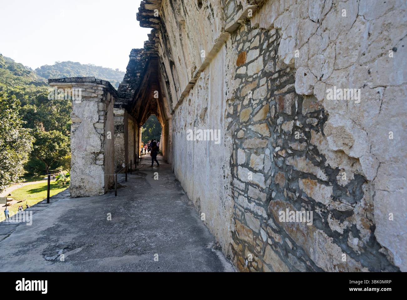 Palenque: A major Mayan Archaeological Site, Chiapas, Mexico Stock ...