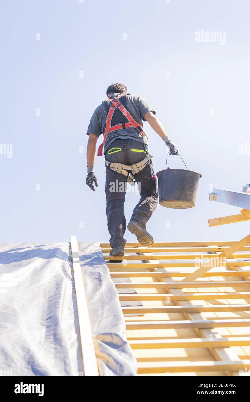 Construction worker with safety belt carrying a bucket on a roof, roof ...