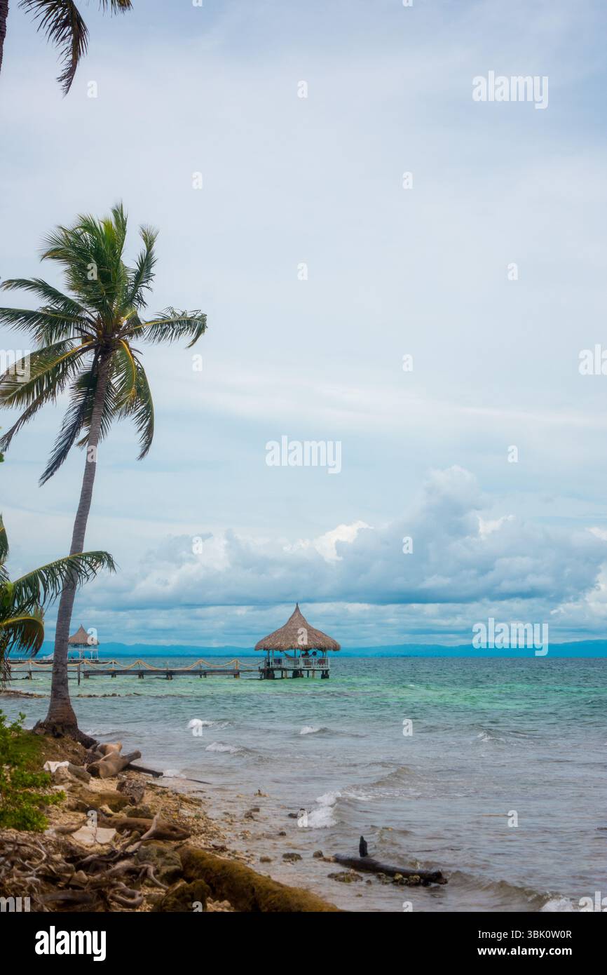 A serene view of palm trees, sandy shore, and traditional huts over ...