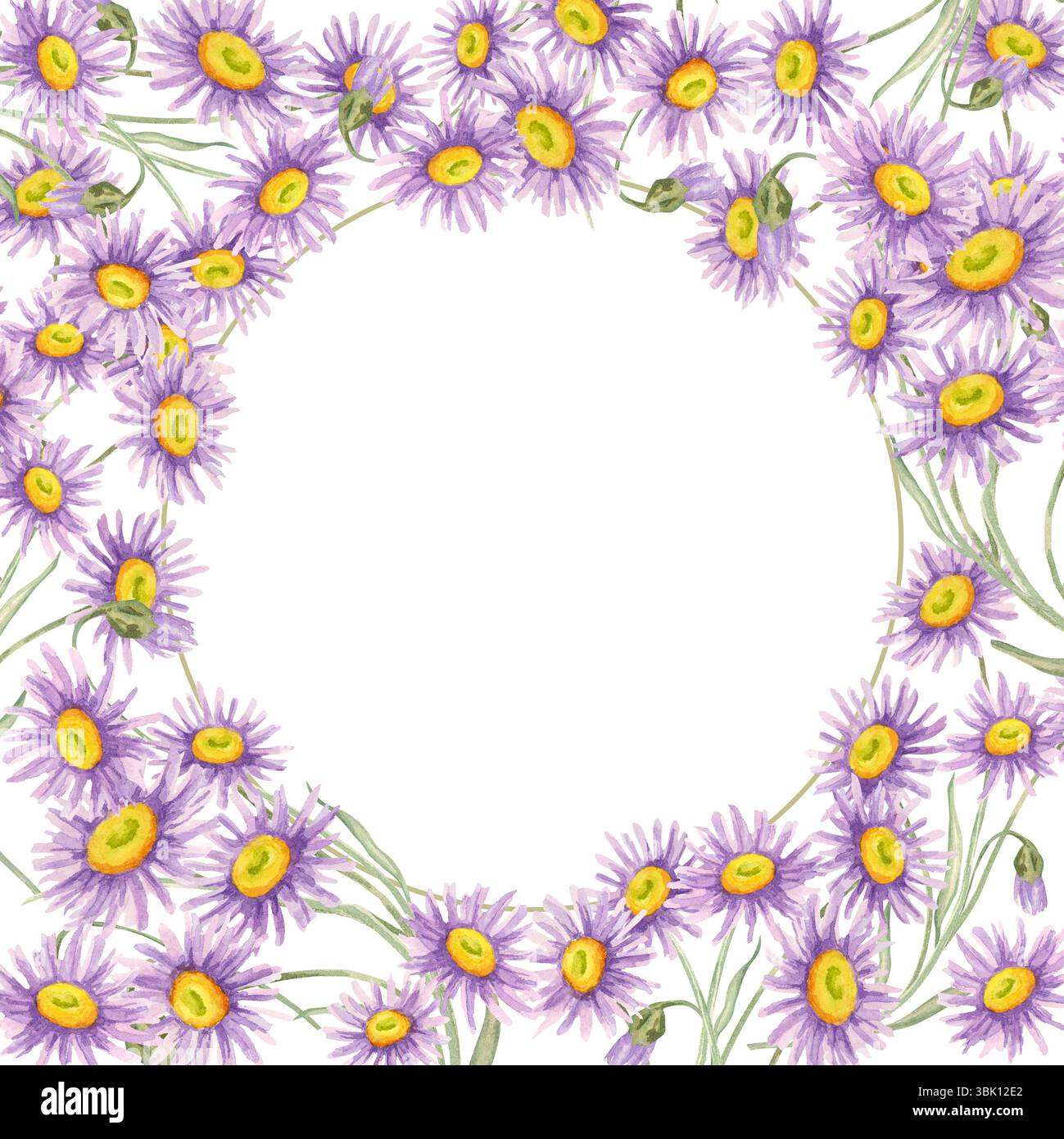 Purple aster flowers with green stems form a full round frame in this ...