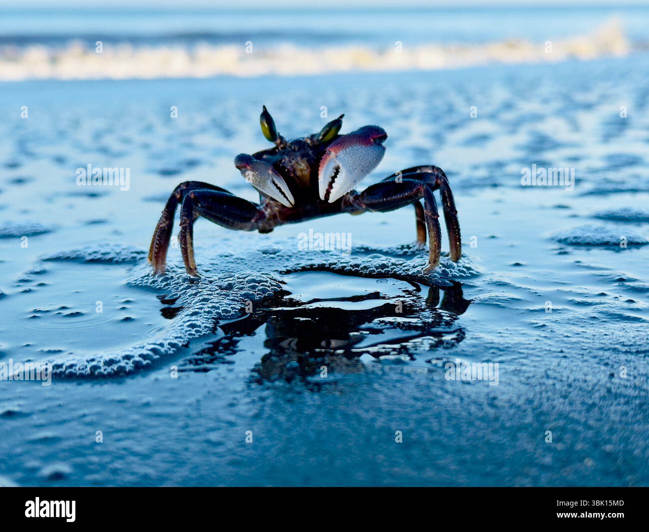 On the sand beach smartphone stock photos and images - Alamy