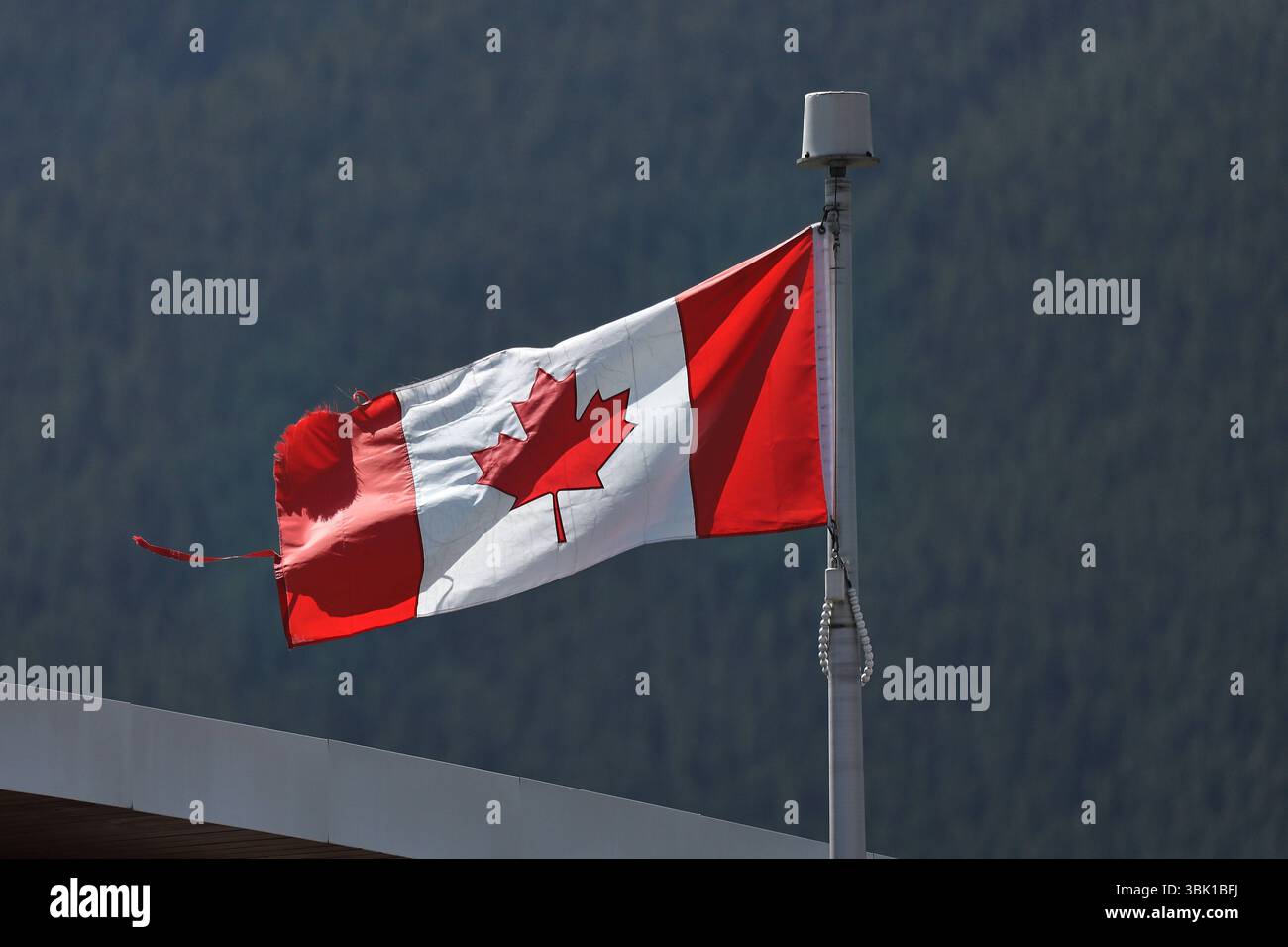 Banff, Alberta, Kanada, 16.06.2025: Kanadische Flagge *** Banff ...