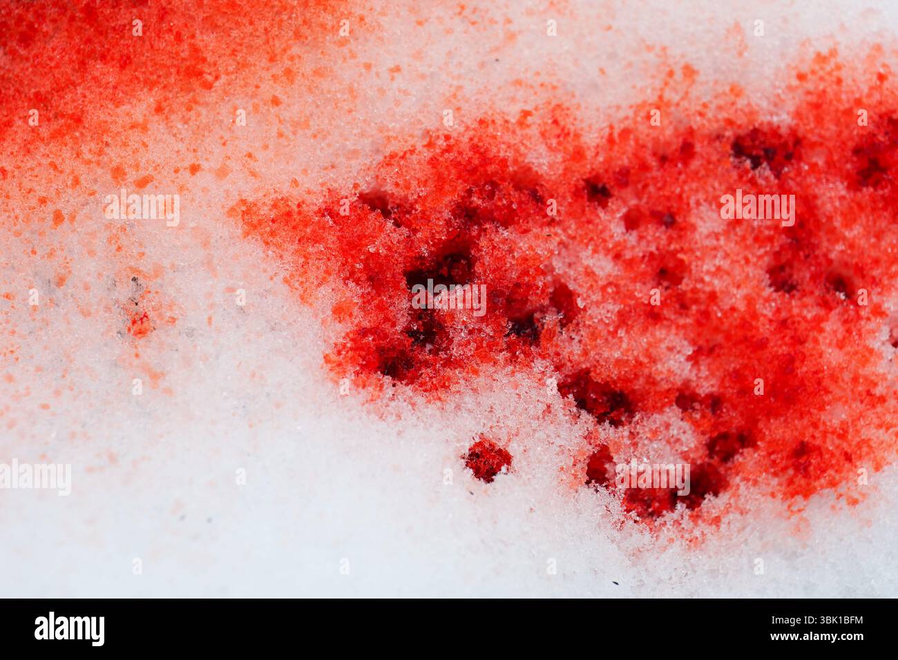 Red Snow.Bloody traces of crime and street fight.Crime Scene.Red blood ...
