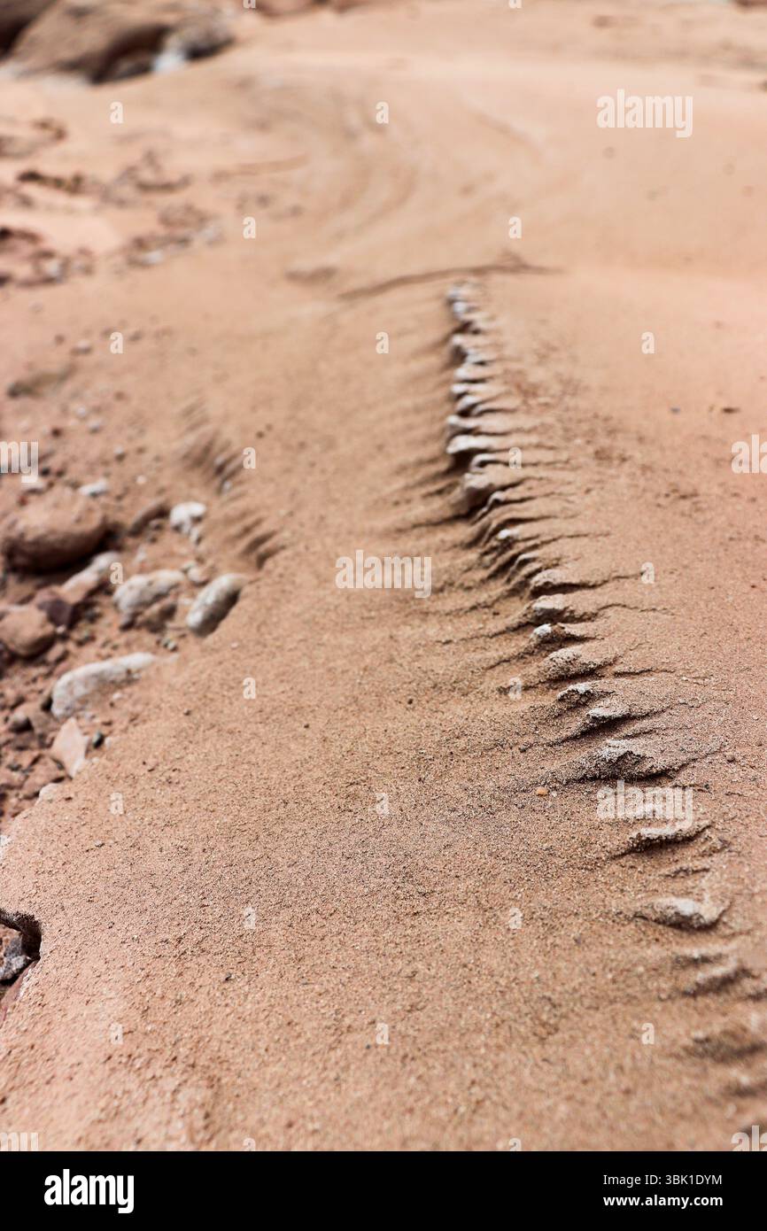 Detail of the desert floor with undulating patterns and marks of once ...