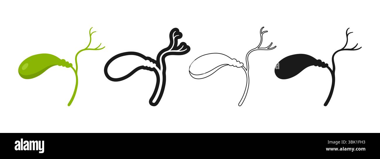 Human gallbladder stylized symbol set. Anatomical gall bladder body ...