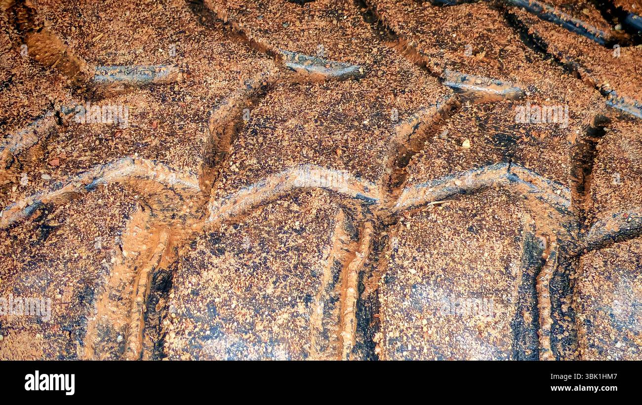 Dirty Car Tire Tread Close-up with Sand and Mud Stock Photo - Alamy