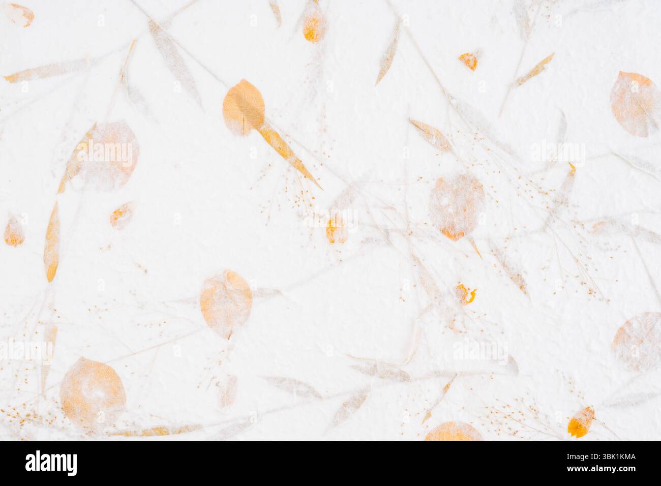 Korean rice paper texture hi-res stock photography and images - Alamy