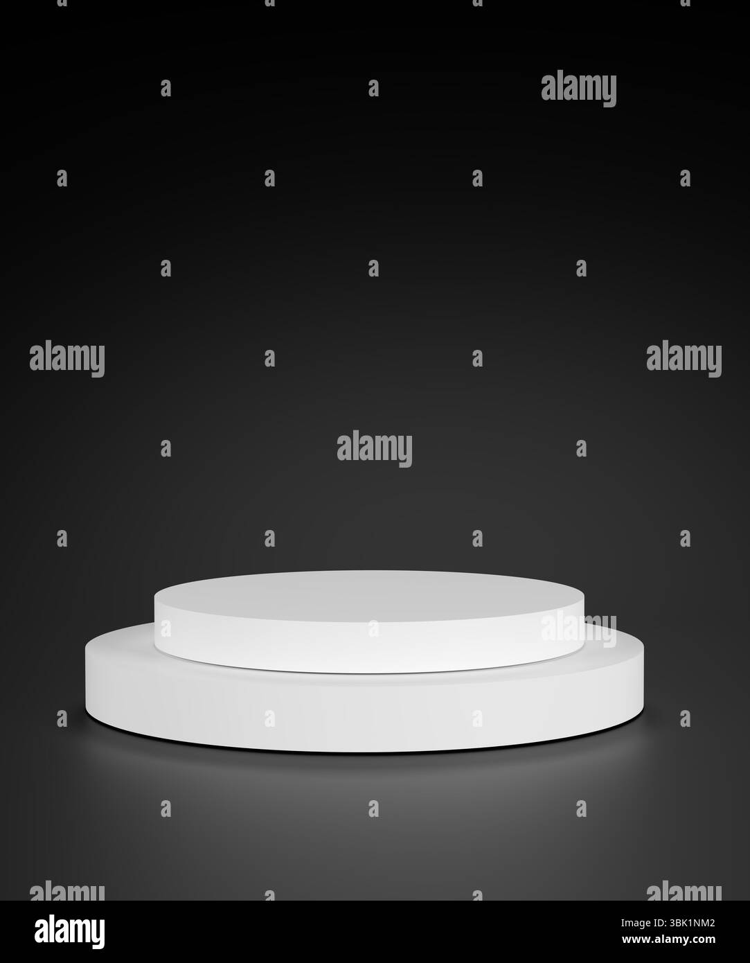 Professional awards Black and White Stock Photos & Images - Alamy