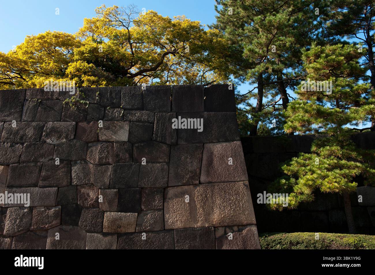 Autumn foliage colors highlight the remains of Edo Castle stone walls ...