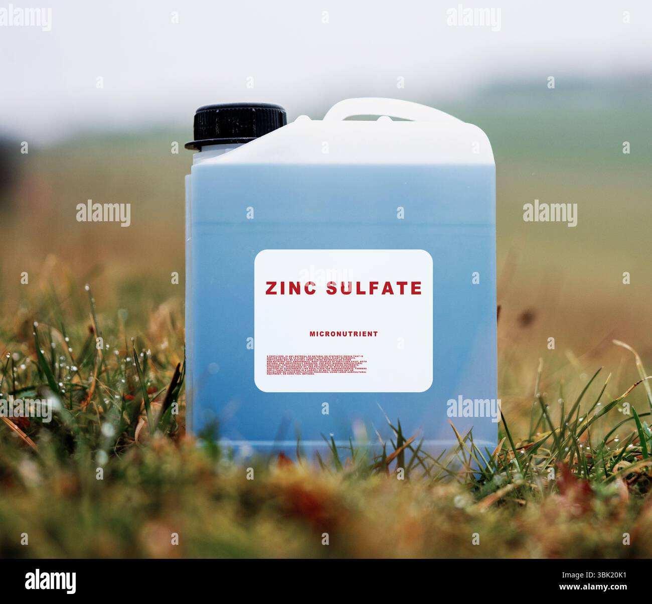 Zinc Sulfate Micronutrient Supplies zinc, crucial for enzyme activity ...