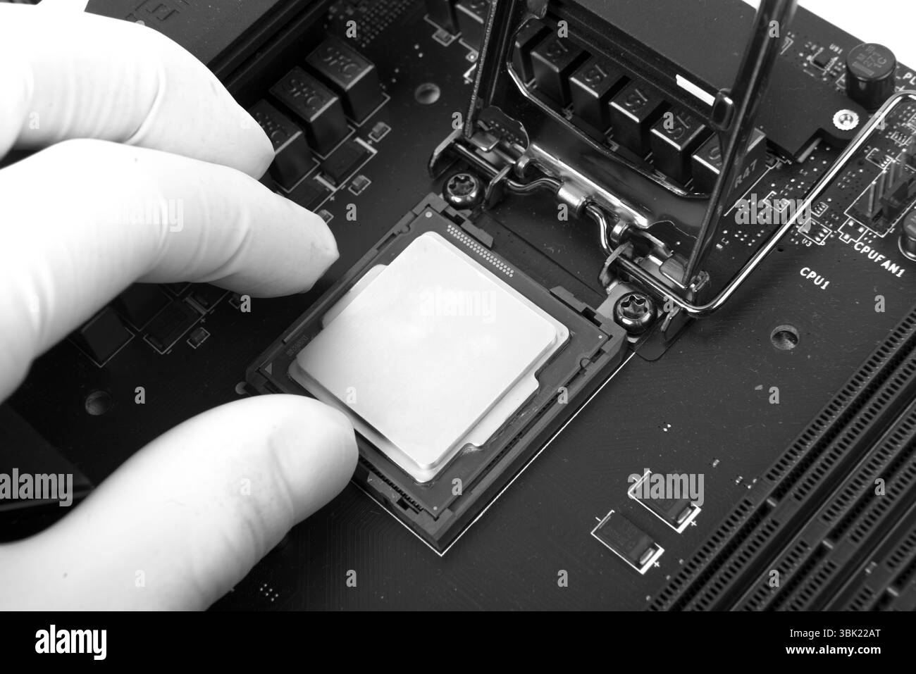 Human hand holding modern processor closeup photo Stock Photo - Alamy