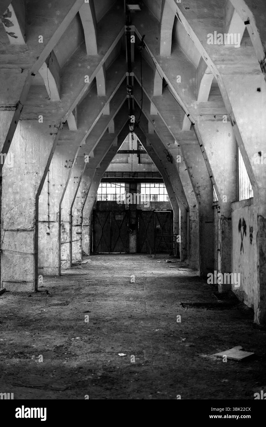 Interior with plant Black and White Stock Photos & Images - Alamy