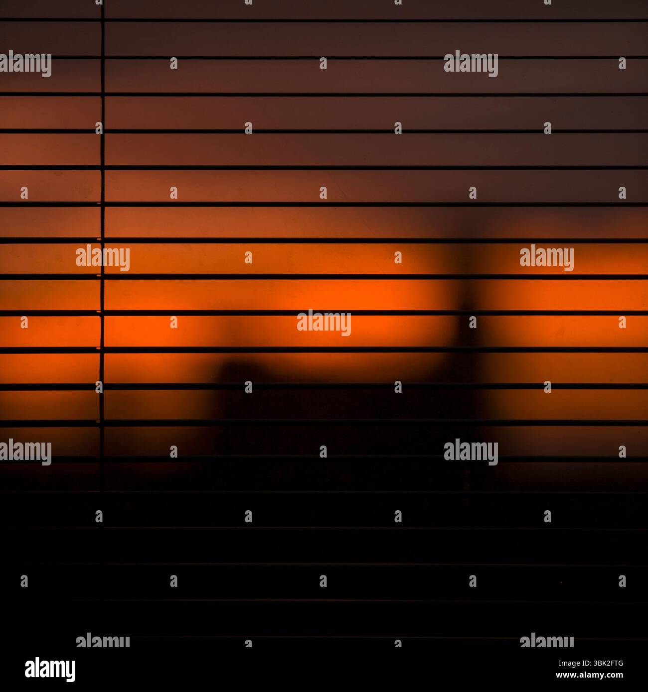 Beautiful silhouette night view hi-res stock photography and images - Alamy