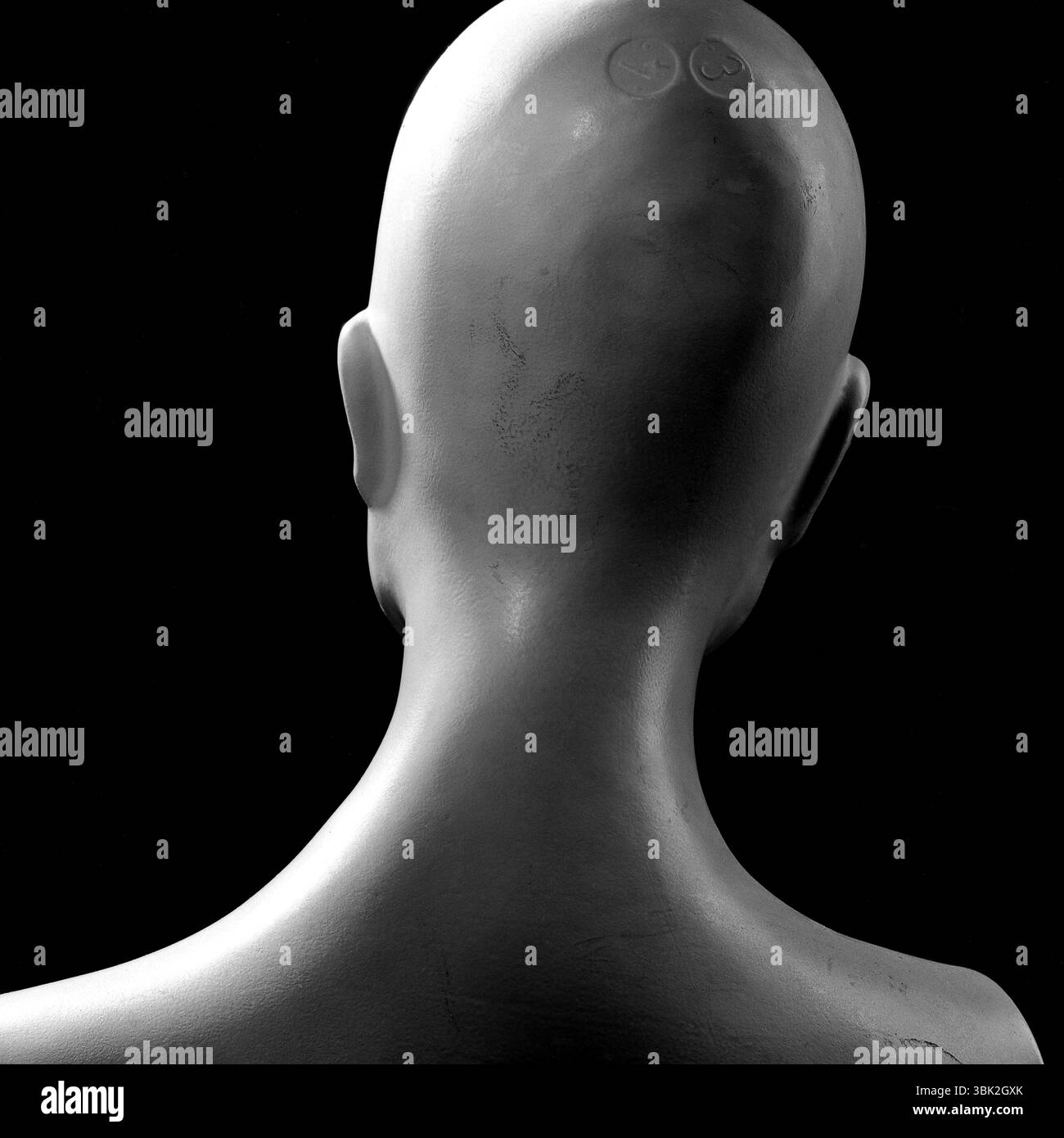 A back view of a mannequin highlights its smooth, featureless contours ...